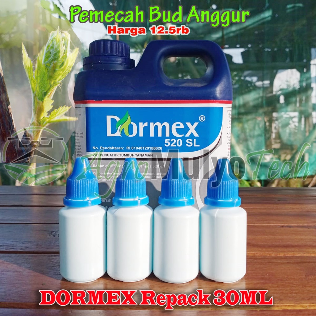 Jual Dormex 520sl Hidrogen Sianamida Repack 30ml Pemecah Tunas Tanaman Anggur, Apel, Anggrek ...