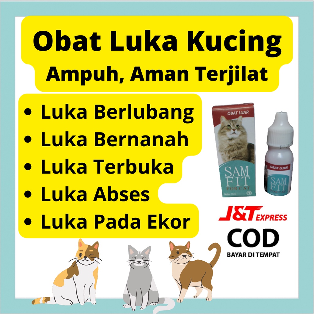 Jual Obat Luka Kucing Terbuka Basah Bolong Abses Berlubang Borok Ampuh ...