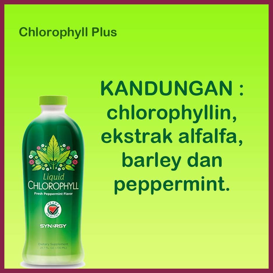 Jual Maxi Pack Obat Obatan Vertigo - Colostrum + Chlorophyll | Shopee ...