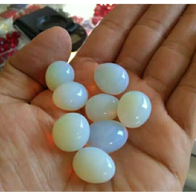 Jual Batu lipan replika jumbo bahan berjad api batu koleksian | Shopee ...