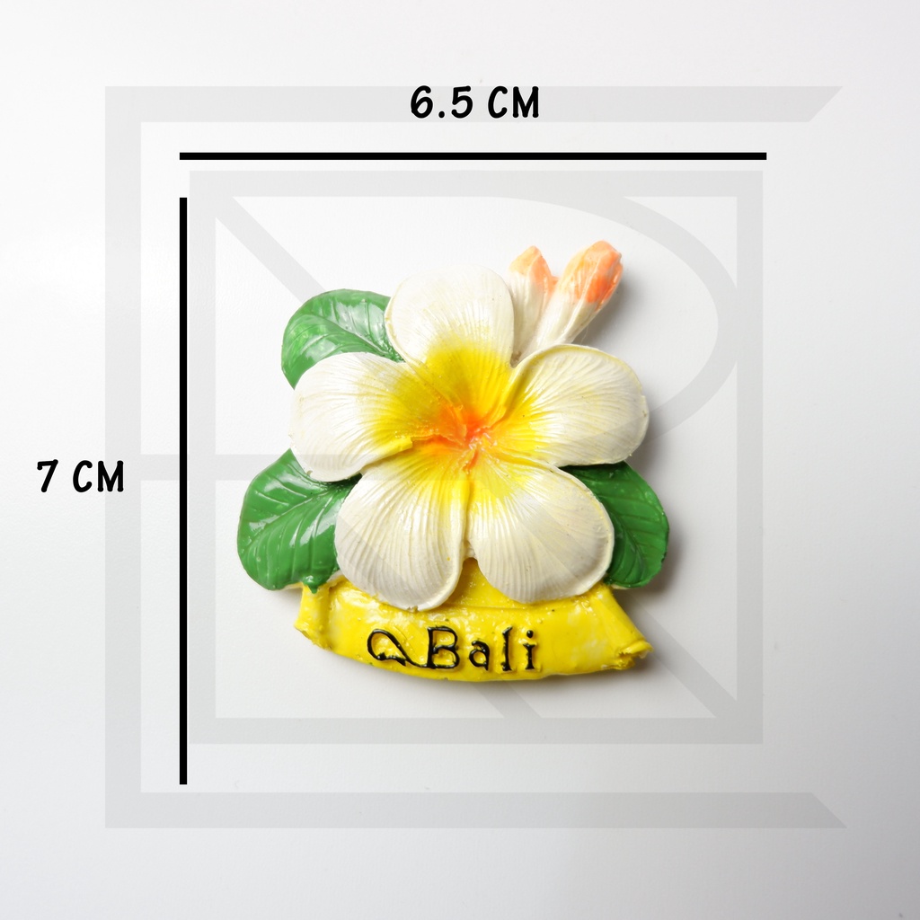 Jual Souvenir Magnet Kulkas Aneka Bentuk Khas Bali / Oleh Oleh Souvenir ...