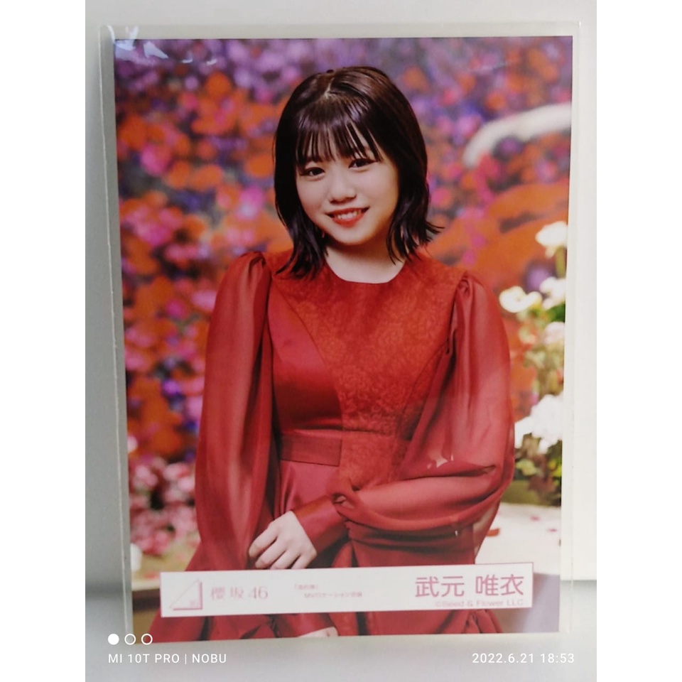 Jual Photopack Takemoto Yui Sakurazaka46 Nagaredama MV Location Isho Chu | Shopee Indonesia