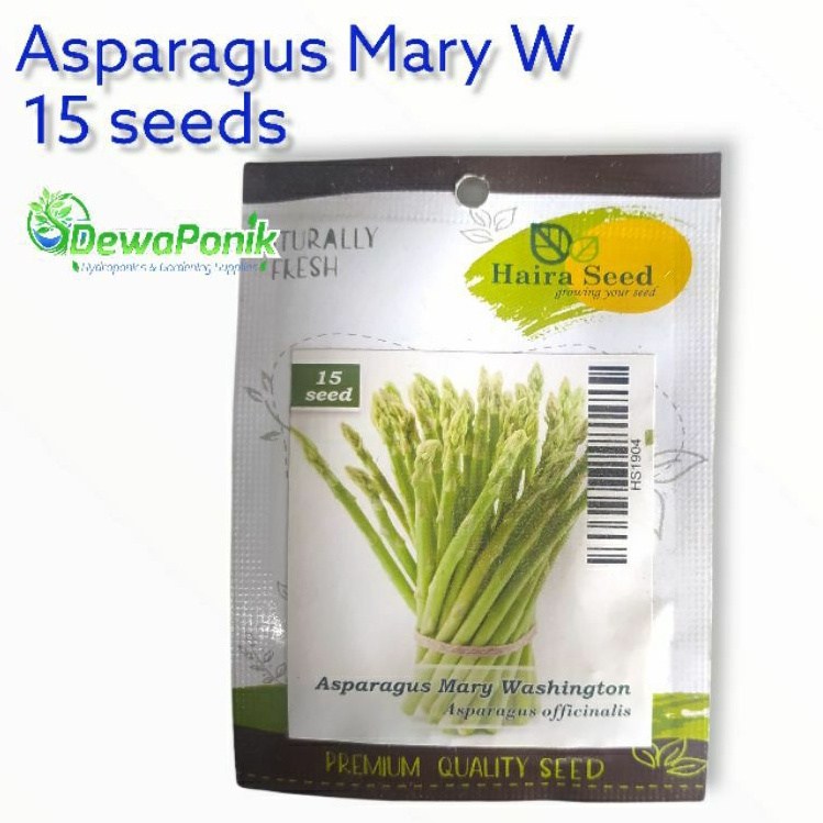 Jual BENIH ASPARAGUS MARY WASHINGTON 15 SEED BY HAIRA SEED DEWAPONIK ...