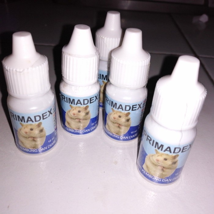 Jual Hamster-Vitamin-Obat- Primadex Kembung Dan Diare Hamster -Obat ...