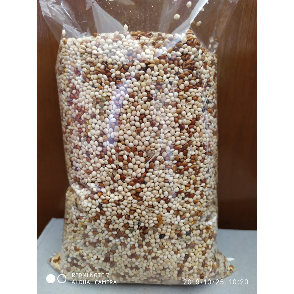 Jual millet/milet campur putih merah 1kg | Shopee Indonesia
