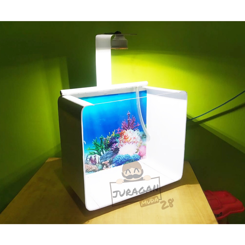 Jual Aquarium Kotak PVC Akrilik Ikan Hias Cupang Fullset Ukuran ...