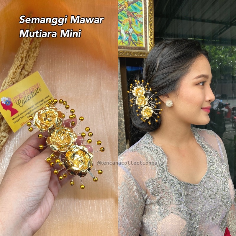 Jual semanggi emas bali mawar mutiara mini/semanggi emas Bali ...