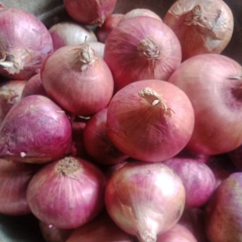 Jual bawang merah India 1kg | Shopee Indonesia
