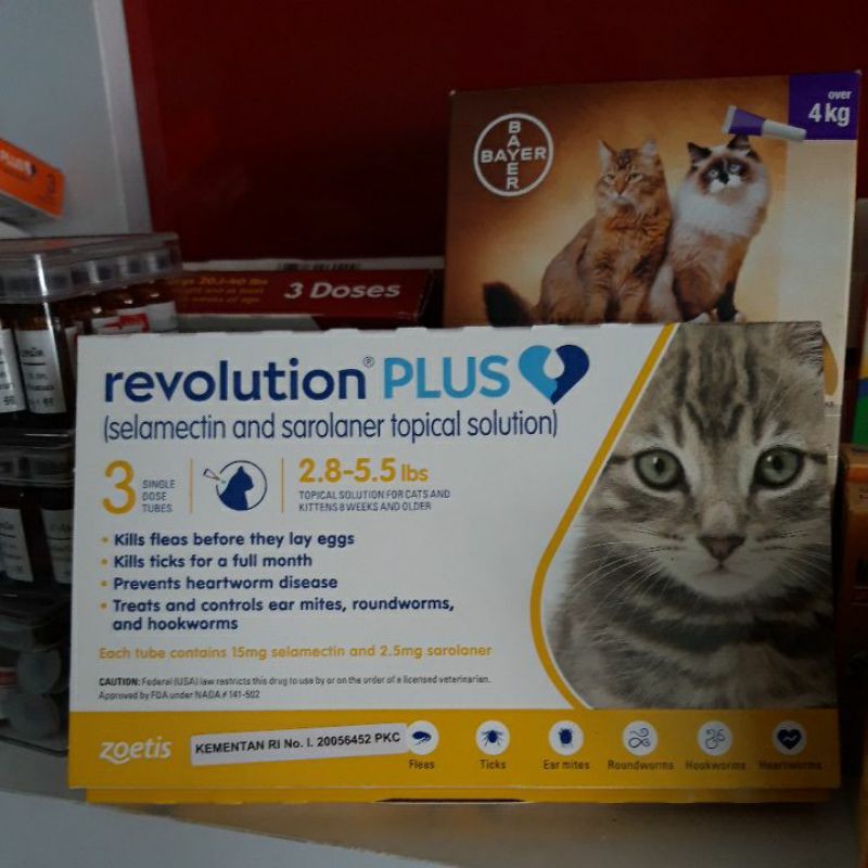 Jual revolution PLUS kitten 2,8 -5.5 lbs ecer 1 tube (salamectin and ...