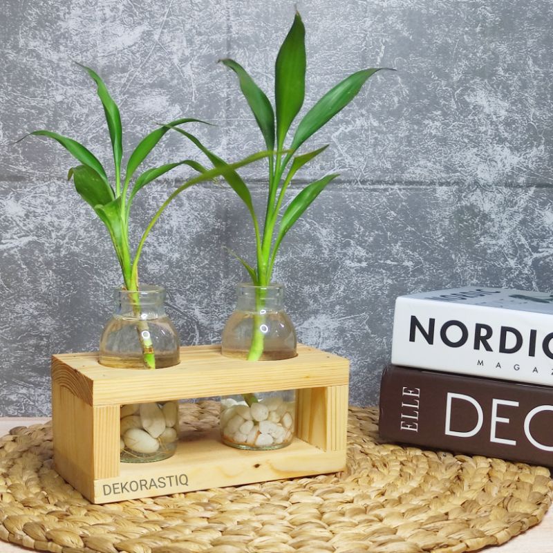 Jual 1 PAKET VAS BUNGA AESTHETIC/ POT TANAMAN AIR / VAS BOTOL COVER ...