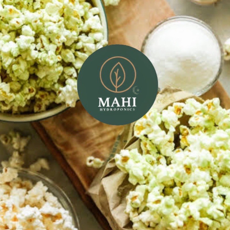 Jual Melon Popcorn | Shopee Indonesia