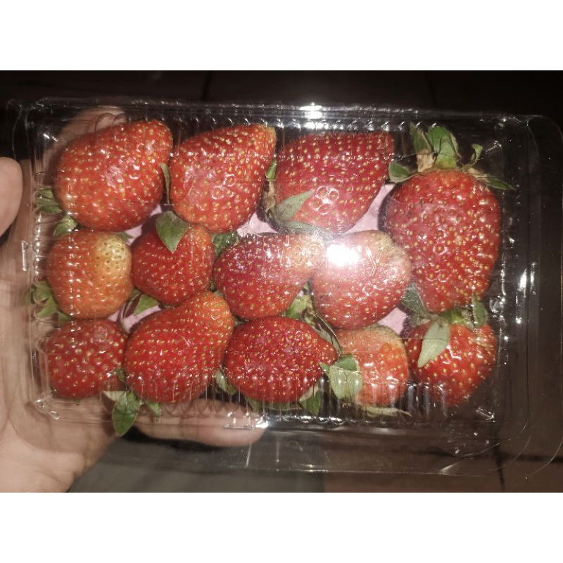 Jual buah strawberry 1 pack segar fresh 160-250gram | Shopee Indonesia