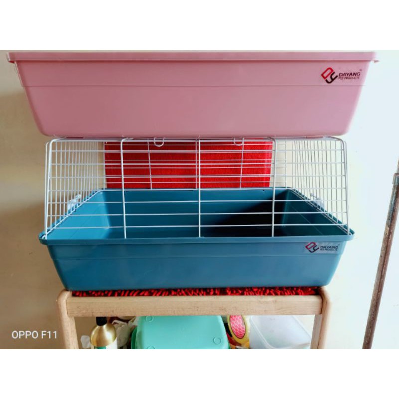 Jual kandang guinea pig cavy cavvies guineapig gp marmut tikus belanda ...