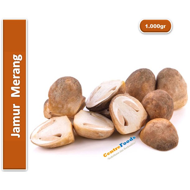 Jual Jamur Merang Fresh | Jamur Padi [ Harga Per KG ] | Shopee Indonesia