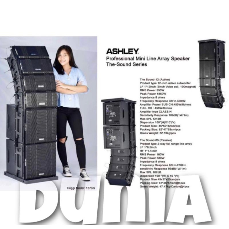 Jual Speaker Line Array Ashley The Sound Series 6.5 inch Sub 12 inch ...