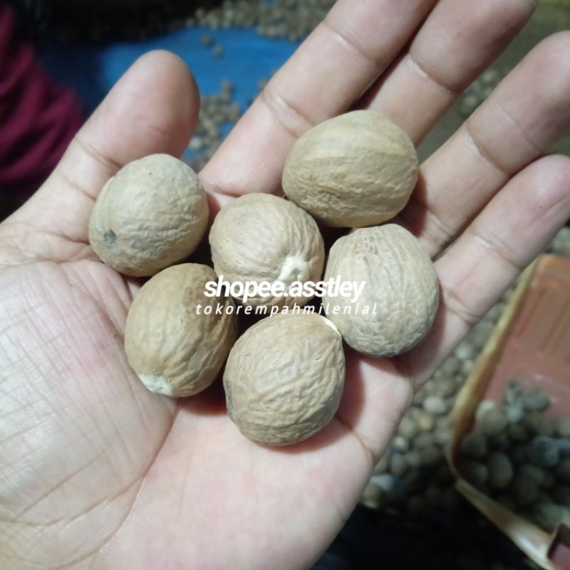 Jual Biji Pala Kering Grade AB kemasan 100 gr | Shopee Indonesia