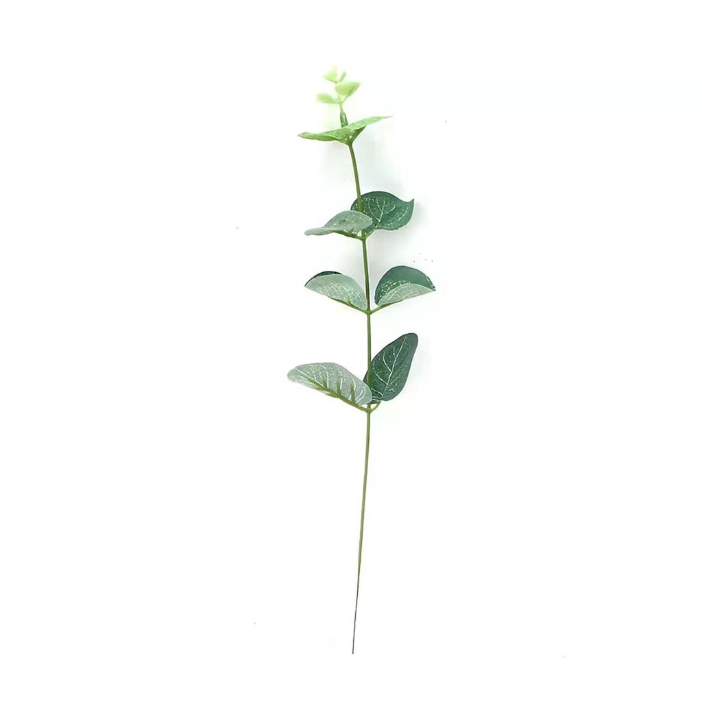 Jual MYSTYLE DAUN DOLLAR 125 DOLAR DAUN BUNGA PLASTIK PALSU MURAH ...