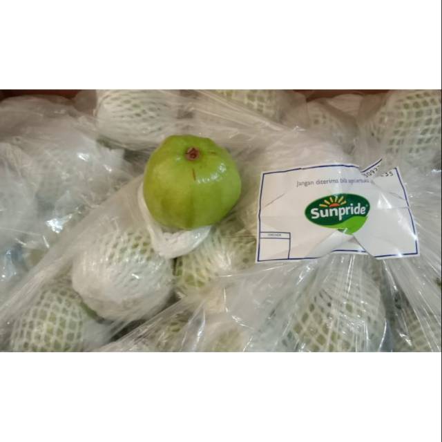 Jual Buah Jambu Crystal Sunpride 12kg/box | Shopee Indonesia
