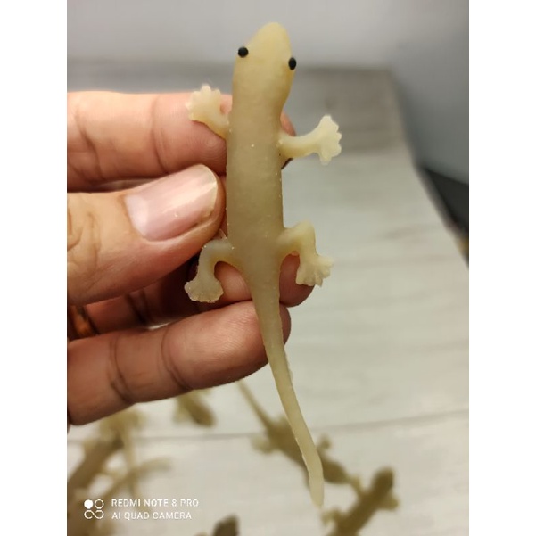 Jual Mainan karet cicak abu abu | Shopee Indonesia