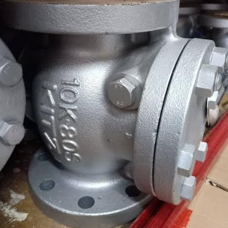 Jual Swing Check Valve KITZ Flange JIS 10K Cast Iron 3 " inchi DN 80 | Shopee Indonesia