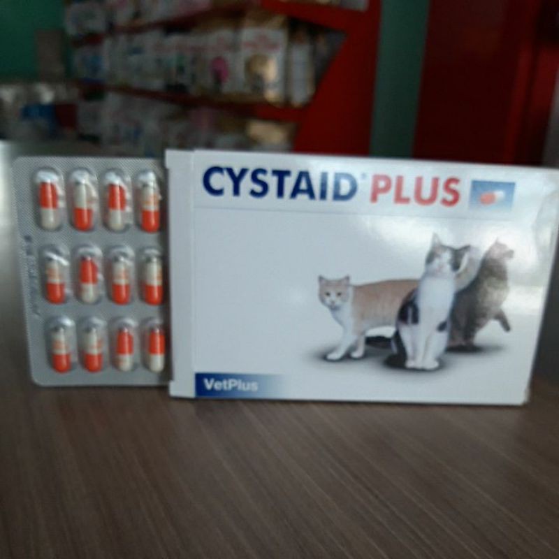 Jual Cystaid Plus Pertablet 1 Tablet Obat Saluran urin | Shopee Indonesia