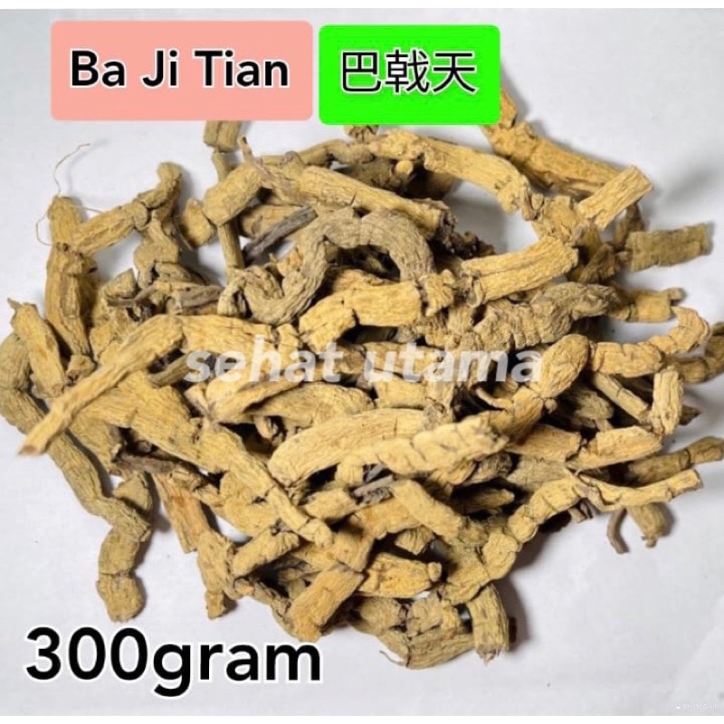 Jual [300gram] Ba Ji Tian - [ 巴戟天 ] - Radix Morindae Officinalis ...