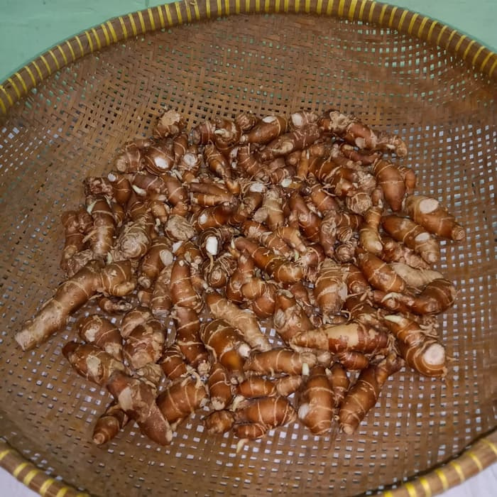 Jual cikur atau Kencur kondisi Segar dan bersih 100g | Shopee Indonesia