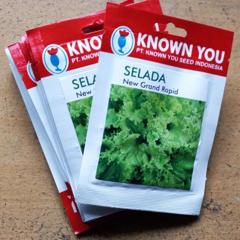 Jual BENIH/BIJI SELADA HIJAU 50 SEEDS | Shopee Indonesia
