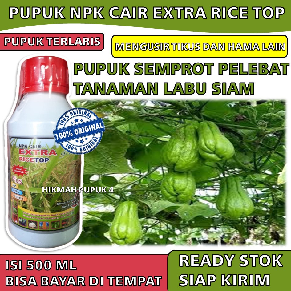Jual PUPUK NPK CAIR EXTRA RICETOP 500 ML Pupuk Semprot Pelebat Tanaman Labu Siam - Pupuk ...
