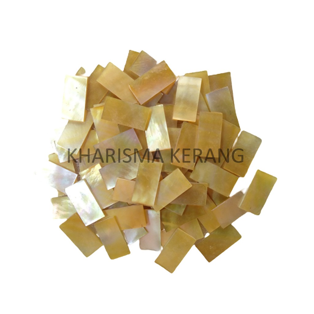 Jual KULIT KERANG MUTIARA KUNING YELLOW MOTHER OF PEARL MOTHER OF PEARL ...