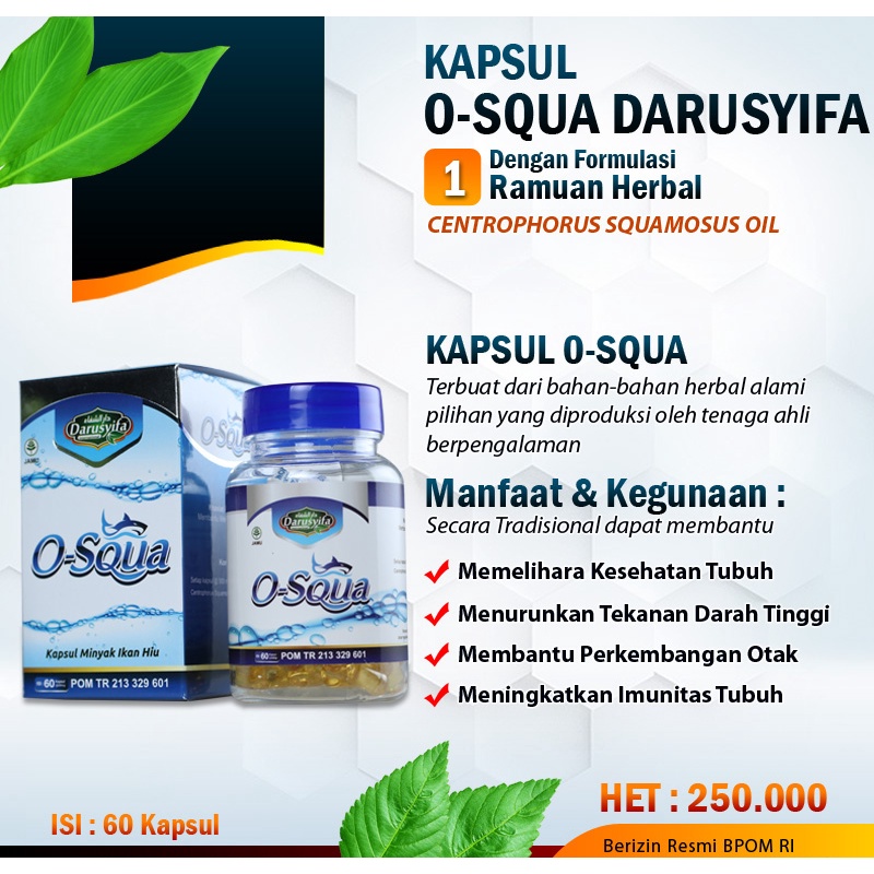 Jual Kapsul Minyak Ikan HIU O-Squa Darusyifa Omega Squa 60 Kapsul ...