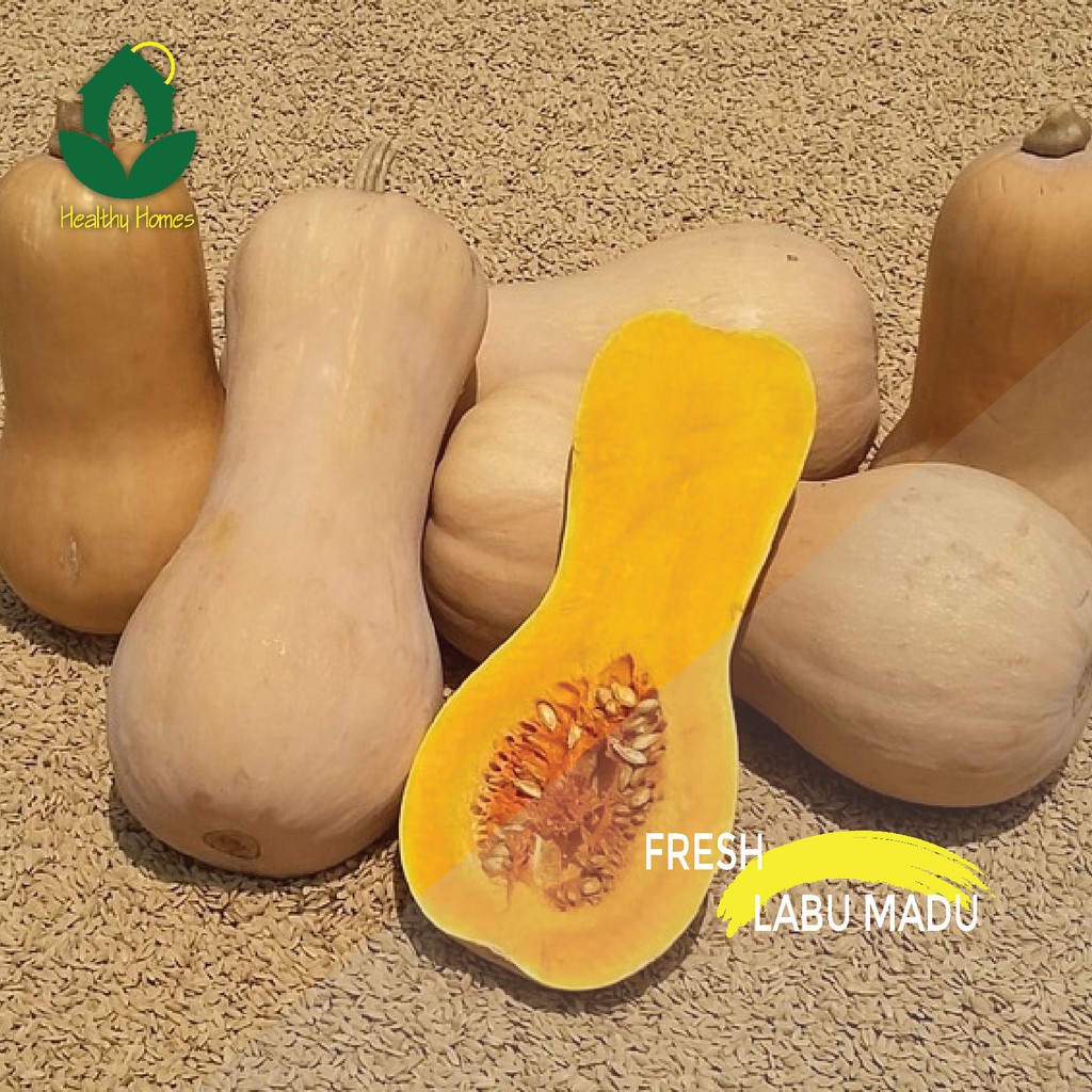 Jual Labu Madu Sayuran Segar Jabodetabek | Shopee Indonesia