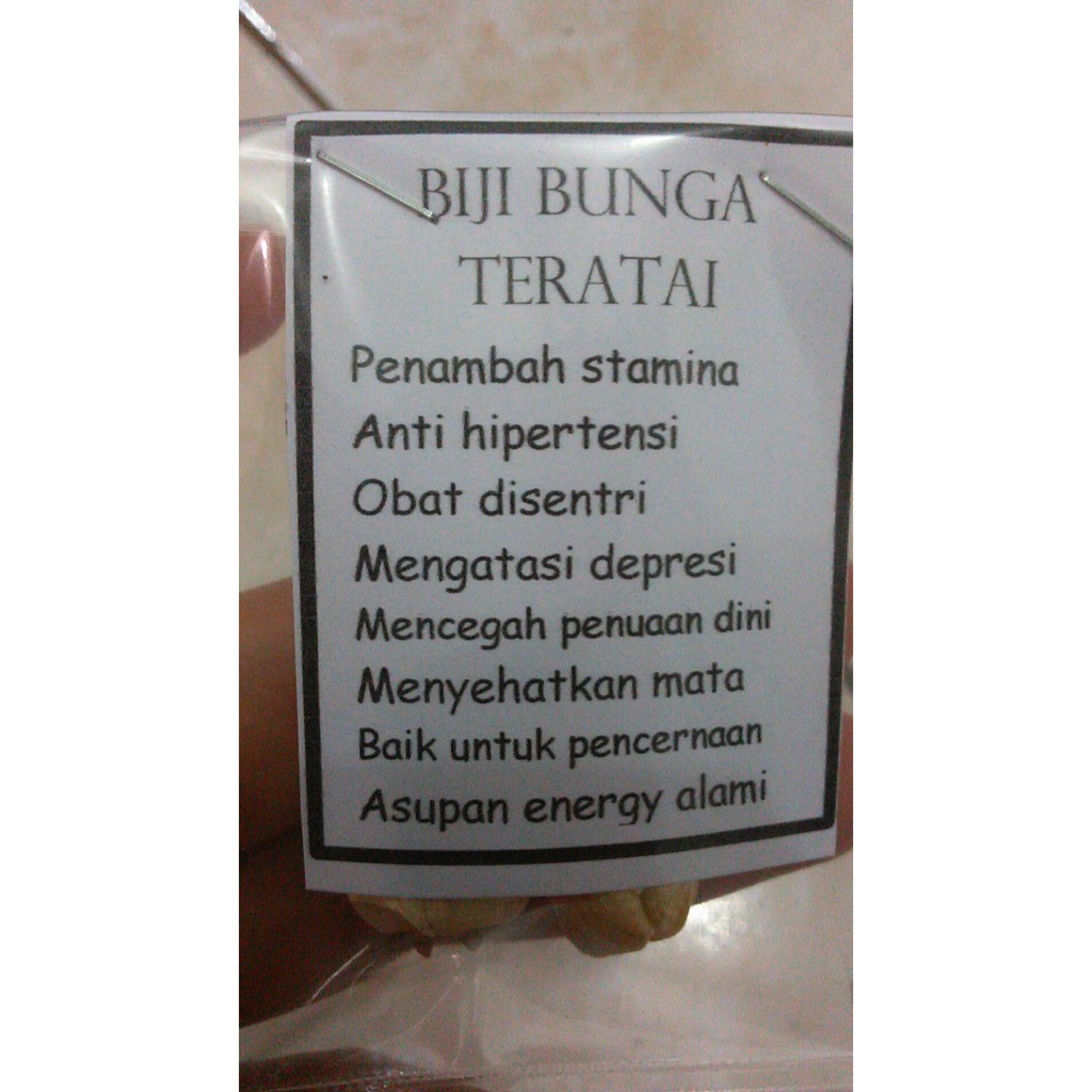 Jual BIJI BUNGA TERATAI ORIGINAL HARGA PERBUNGKUS | Shopee Indonesia