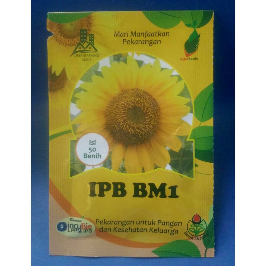 Jual Benih Bunga Matahari IPB BM1 | Shopee Indonesia