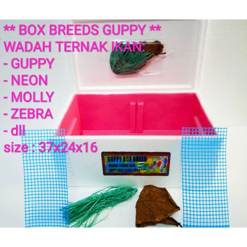Jual GUPPY BOX BREED BOK STYROFOAM BOK GABUS/WADAH TERNAK IKAN GUPPY ...