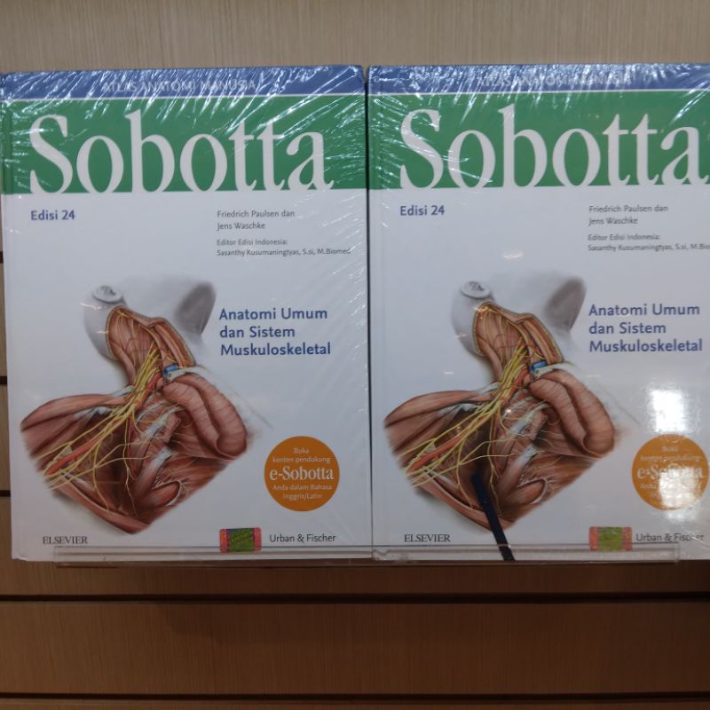 Jual Sobotta atlas anatomi edisi 24 (4 vol) | Shopee Indonesia