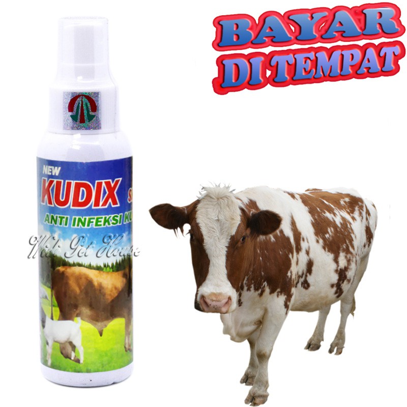 Jual Obat Koreng Sapi Kambing Kerbau KUDIX Sprey Sakit Scabies Jamur ...