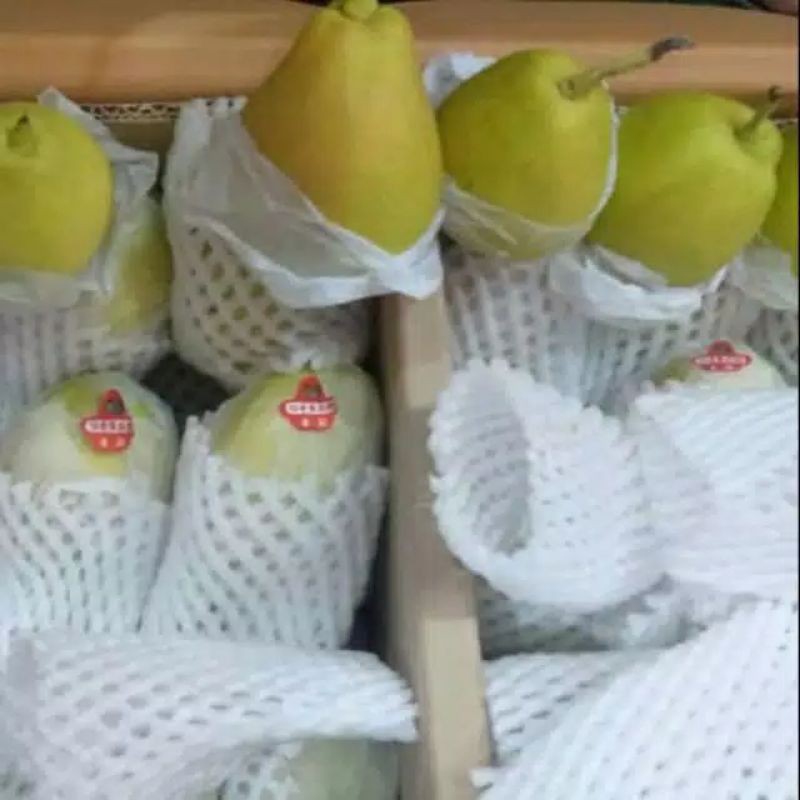 Jual pear xiang lie pir hijau | Shopee Indonesia