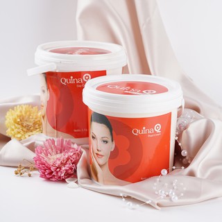 Jual Quina Pearl Cream 1kg/Cream wajah/foundation Kosmetik BPOM ...