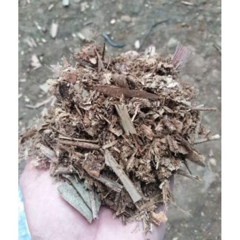 Jual humus bambu 1kg media tanam | Shopee Indonesia