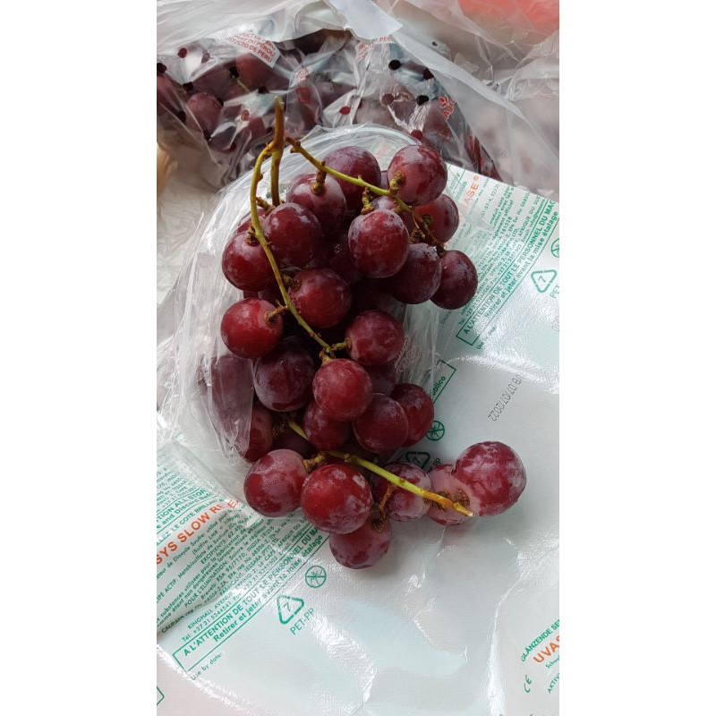 Jual Anggur Red Globe RRC 500gram | Shopee Indonesia