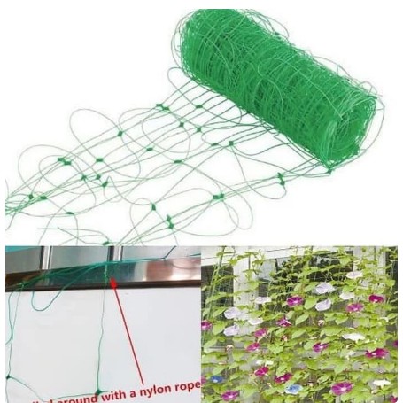 Jual Tali Jaring Net Rambatan 1 Meter Tanaman Rambat Bunga Sayuran ...