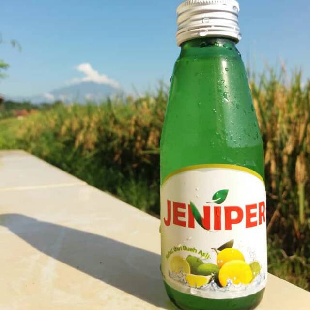 Jual Jeniper isi 10 botol (kemasan langsung minum) | Shopee Indonesia
