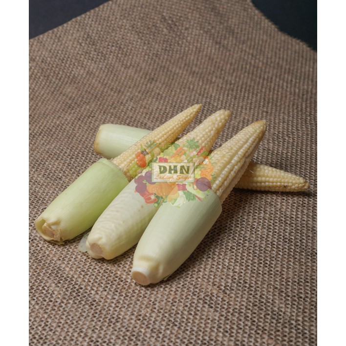 Jual Jagung Putren / Baby Corn | Shopee Indonesia