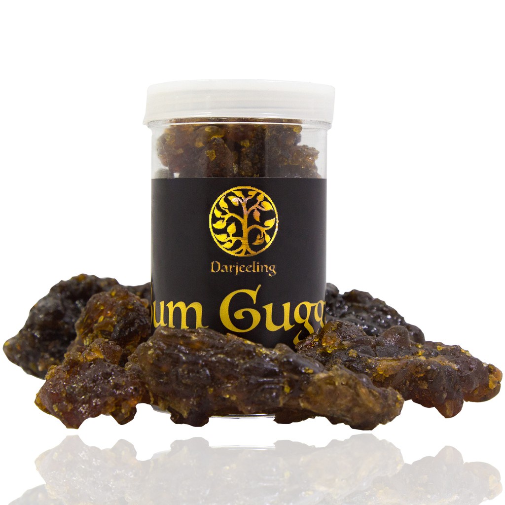 Jual Darjeeling Gum Guggul Resin / Kemenyan Gum Guggal Getah Arab Asli ...