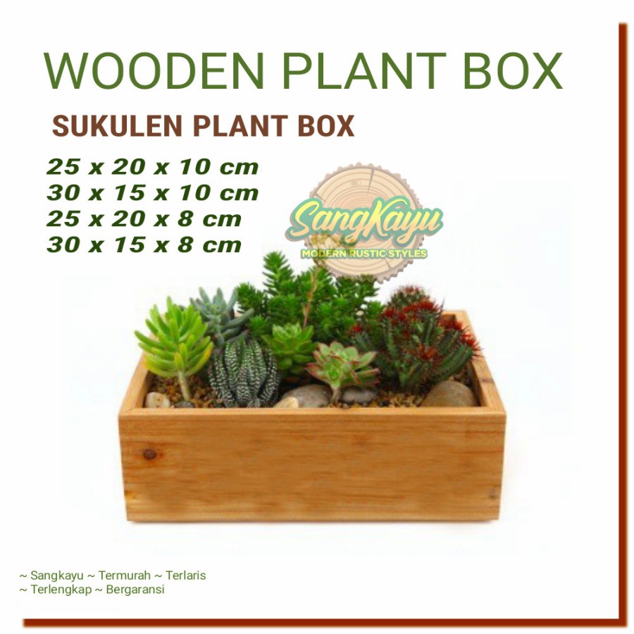 Jual SangKayu Plant Box Kayu Tanaman Sukulen Pot Kaktus Kayu Pot Kayu ...