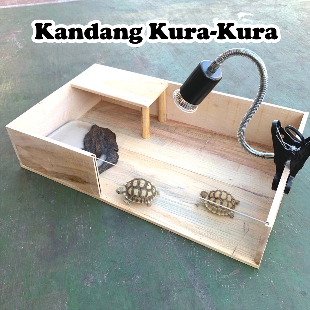 Jual Torto Table Kandang Tortoise Sulcata Kandang Kura Kura Kandang ...