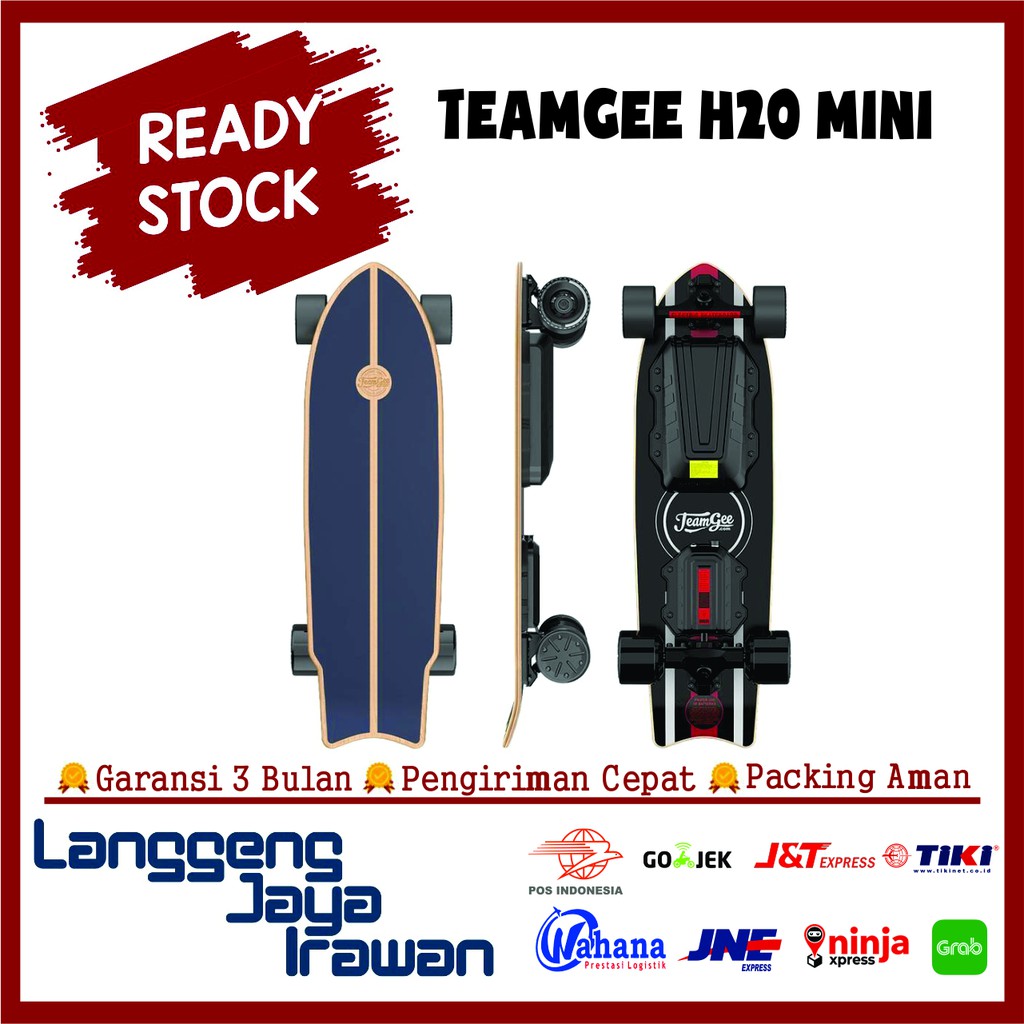 Jual Electric Skateboard Teamgee H20 Mini Skate E Board Eskate ...