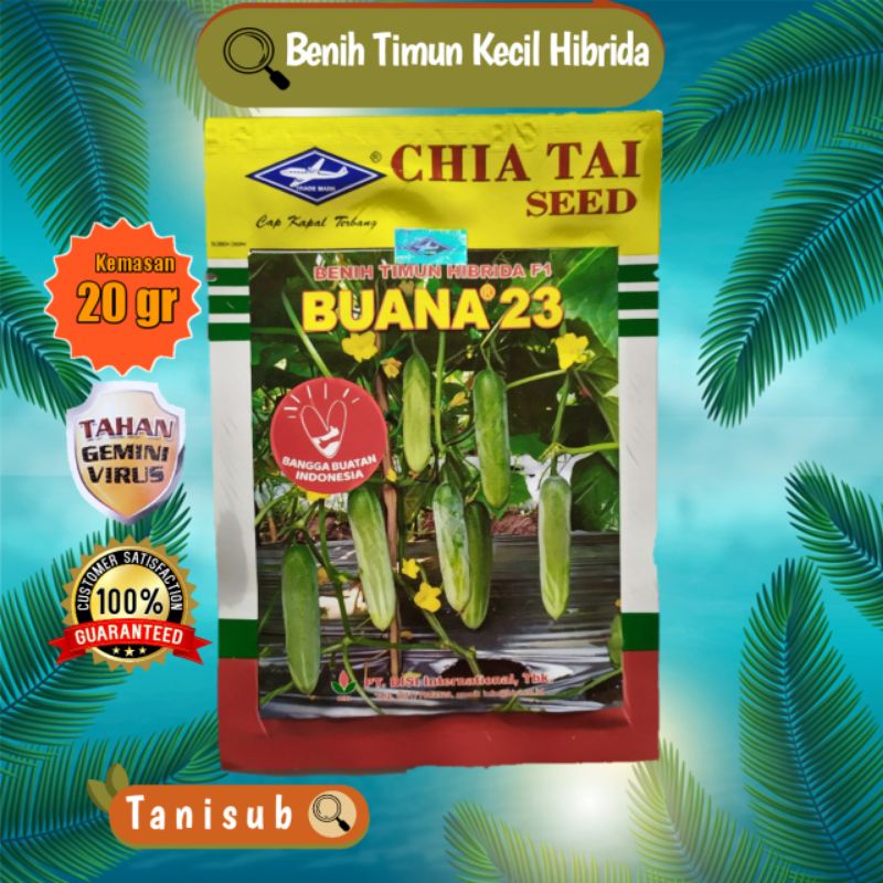 Jual Benih Timun Buana 23 isi 20 gr (±800 Biji) | Shopee Indonesia