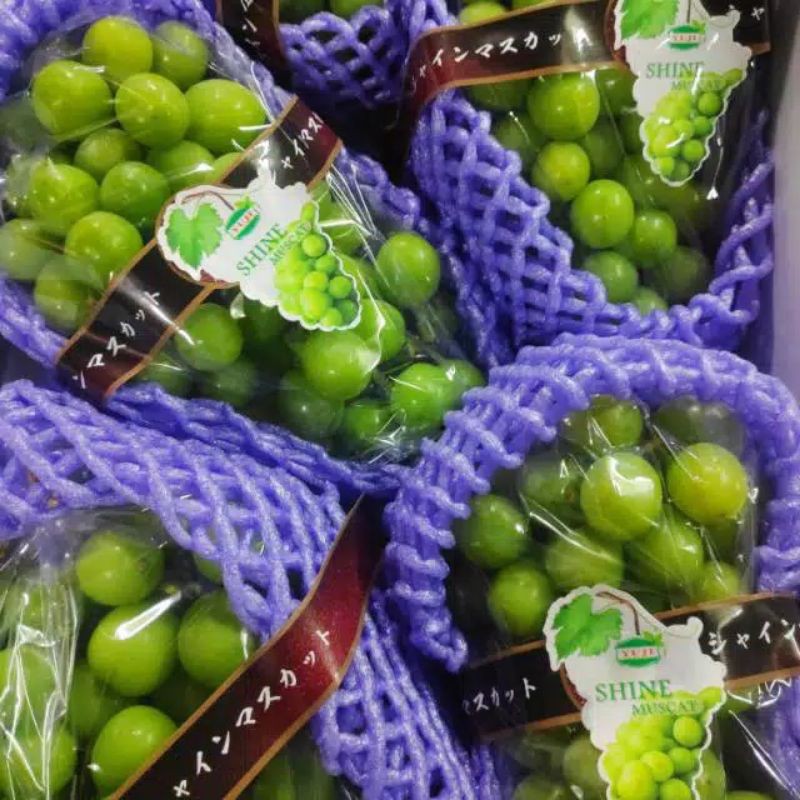 Jual ANGGUR HIJAU SHINE MUSCAT JAPAN/500gr | Shopee Indonesia